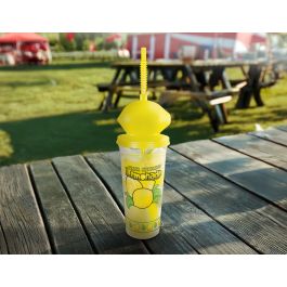 32oz Sparkle Lemon Top Souvenir Cup Fresh Squeezed Lemonade Design w ...